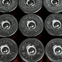 Shotshell Hulls Archives - Warhorse Munitions